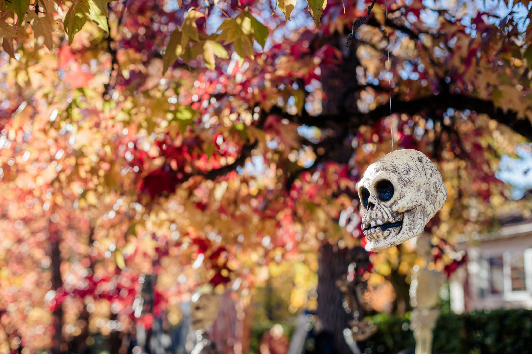 Halloween Fun - Inn Town Campground