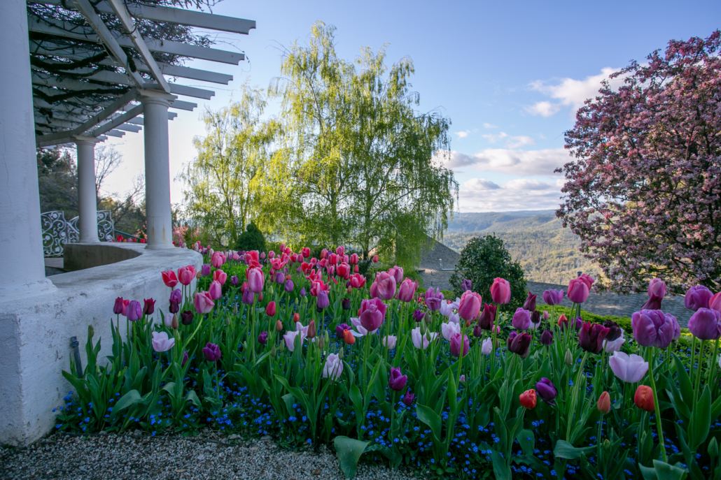 Nevada City Spring Activities