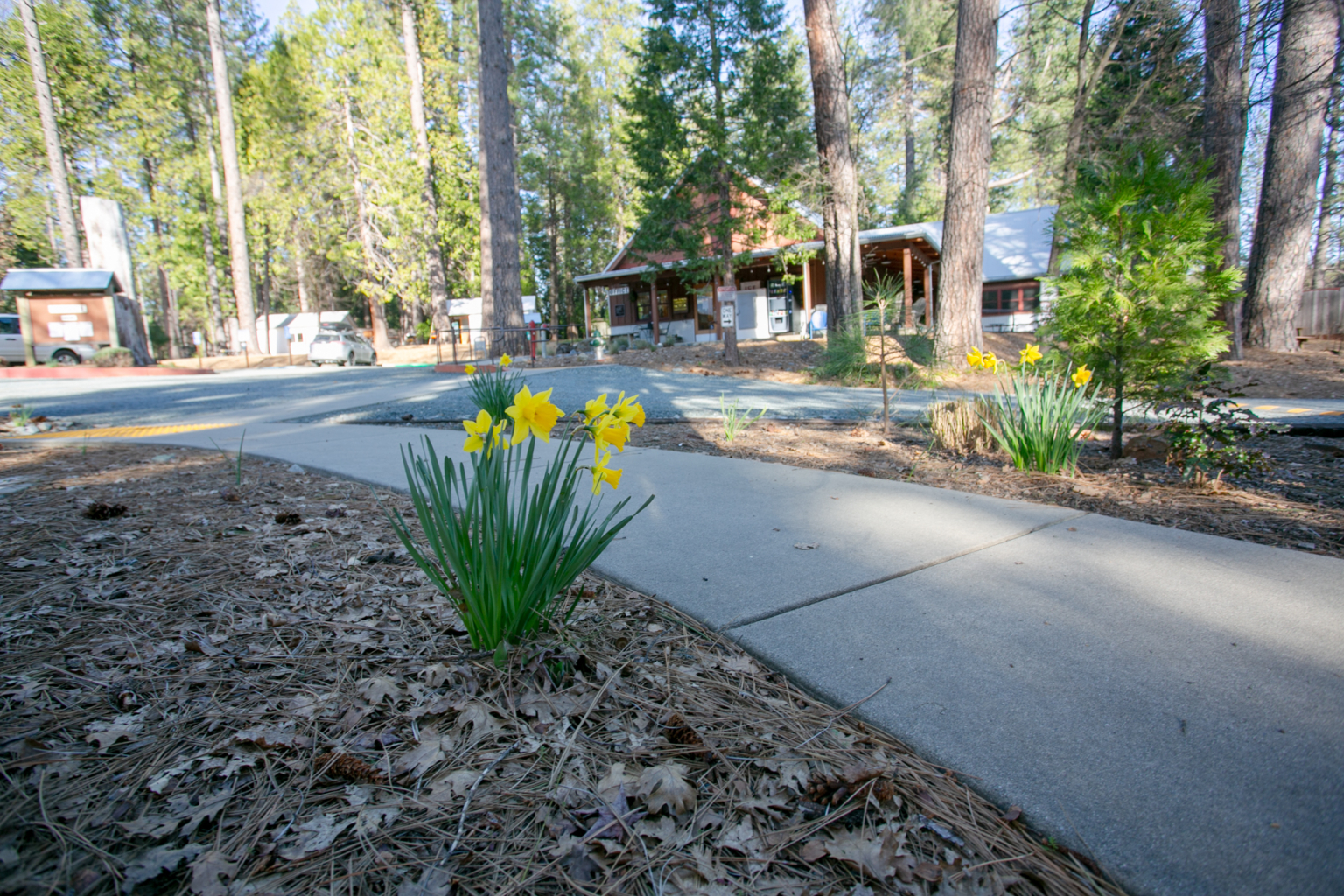 Spring camping - Inn Town Campground